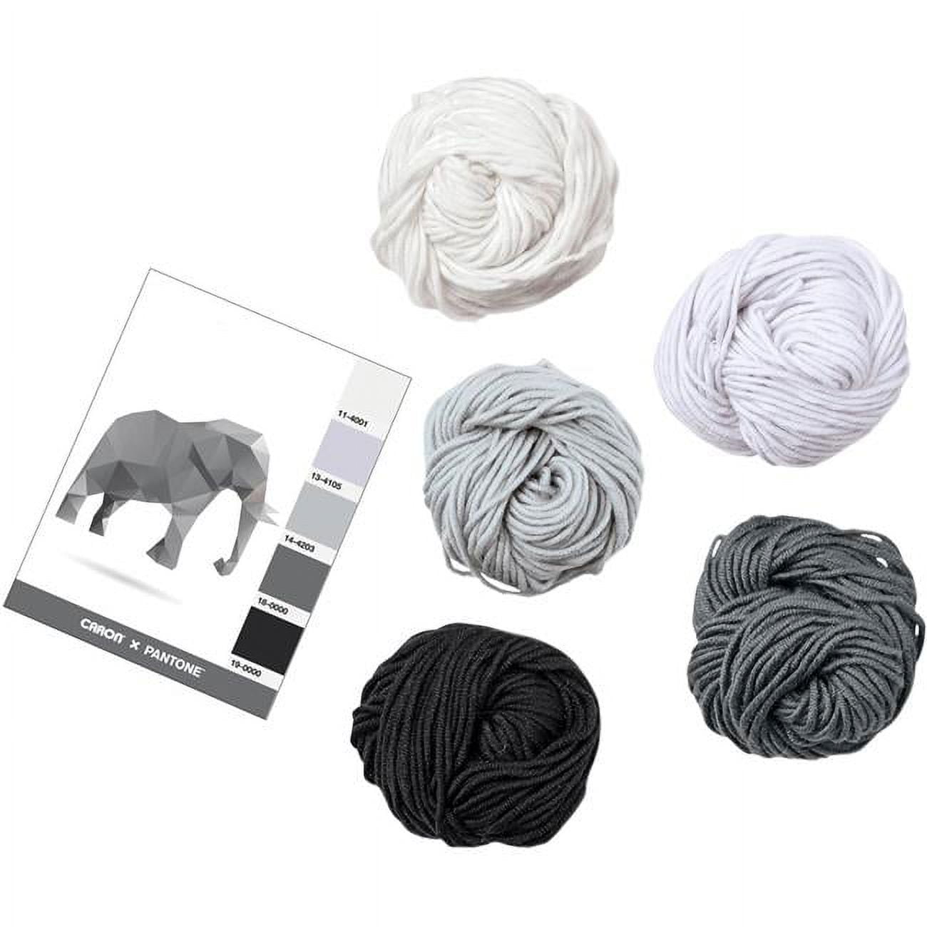 Caron Pantone Yarn - Elephant Gray - Walmart.com