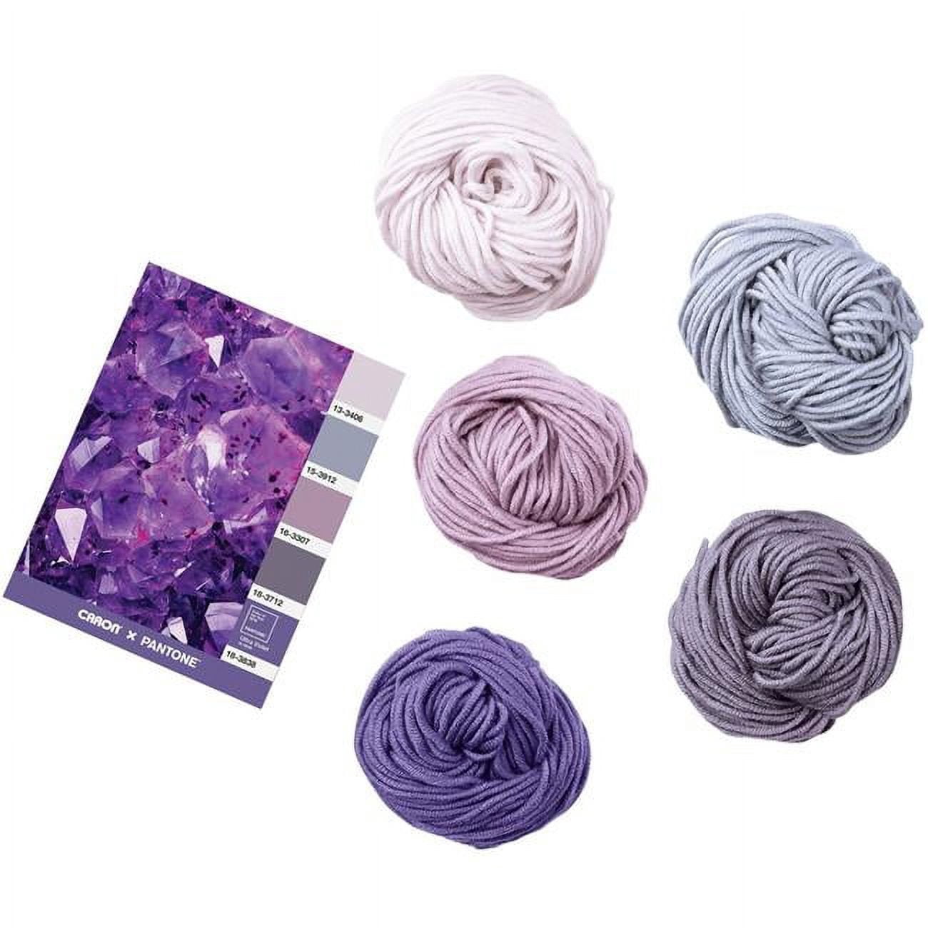Caron Pantone Yarn - Ultra Violet Miner - Walmart.com