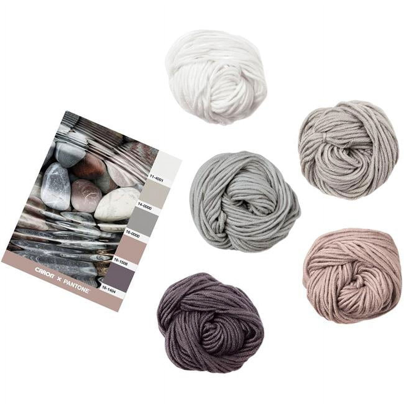 Caron Pantone Yarn - River Rock - Walmart.com