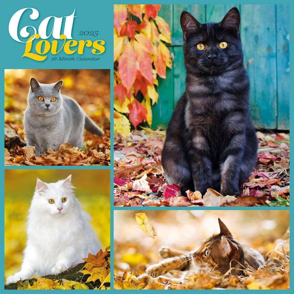 Carousel Calendars, Cat Lovers 2025 Wall Calendar - Walmart.com