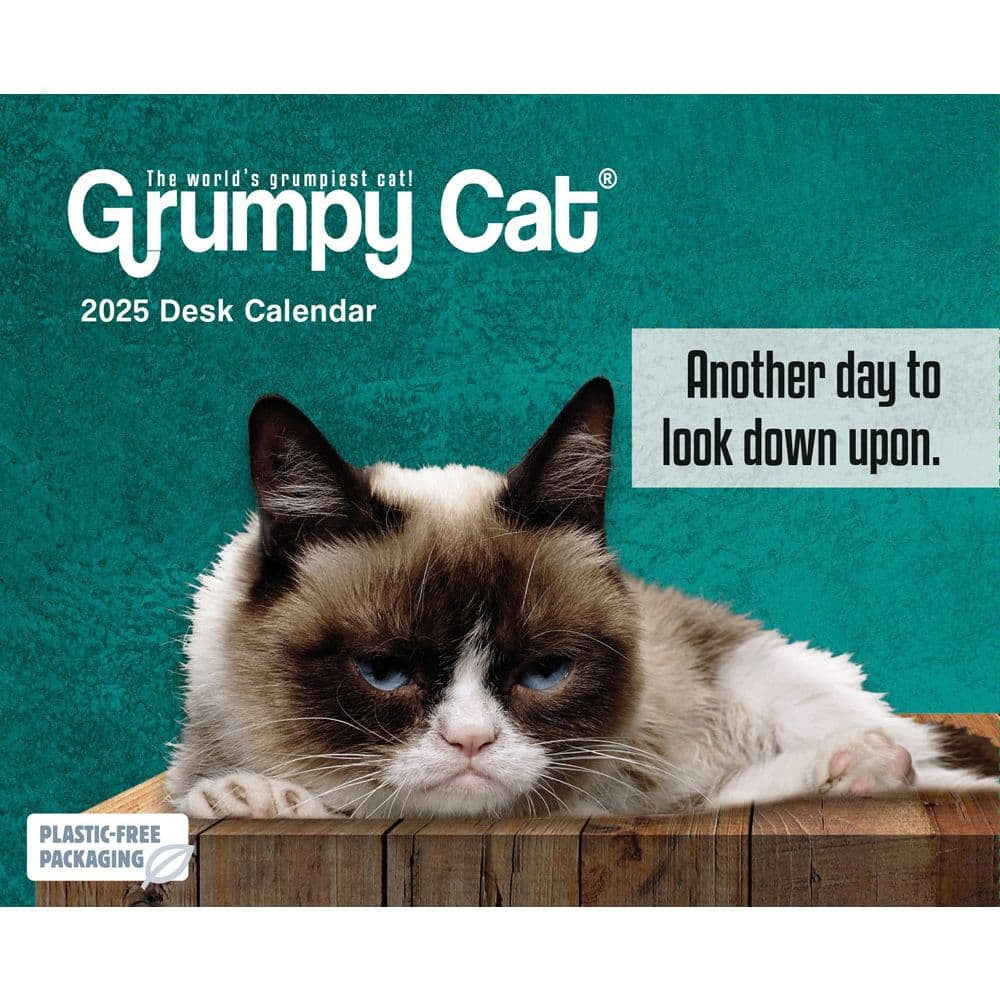 Carousel Calendars, Grumpy Cat 2025 Desk Calendar - Walmart.com