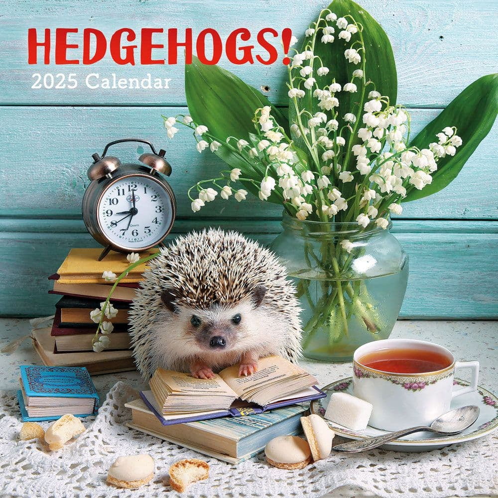 Carousel Calendars, Hedgehogs 2025 Wall Calendar - Walmart.com