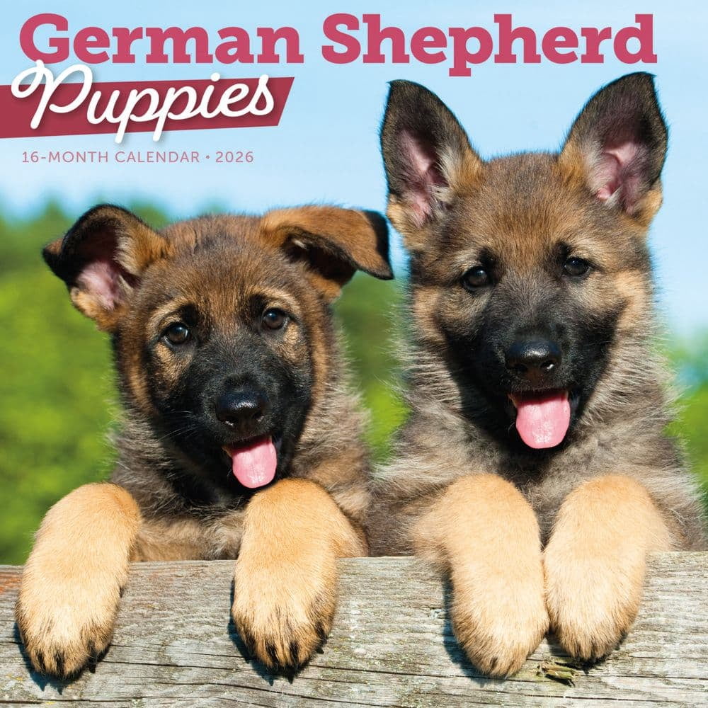 Carousel Calendars, Just German Shepherd Puppies 2026 Wall Calendar ...