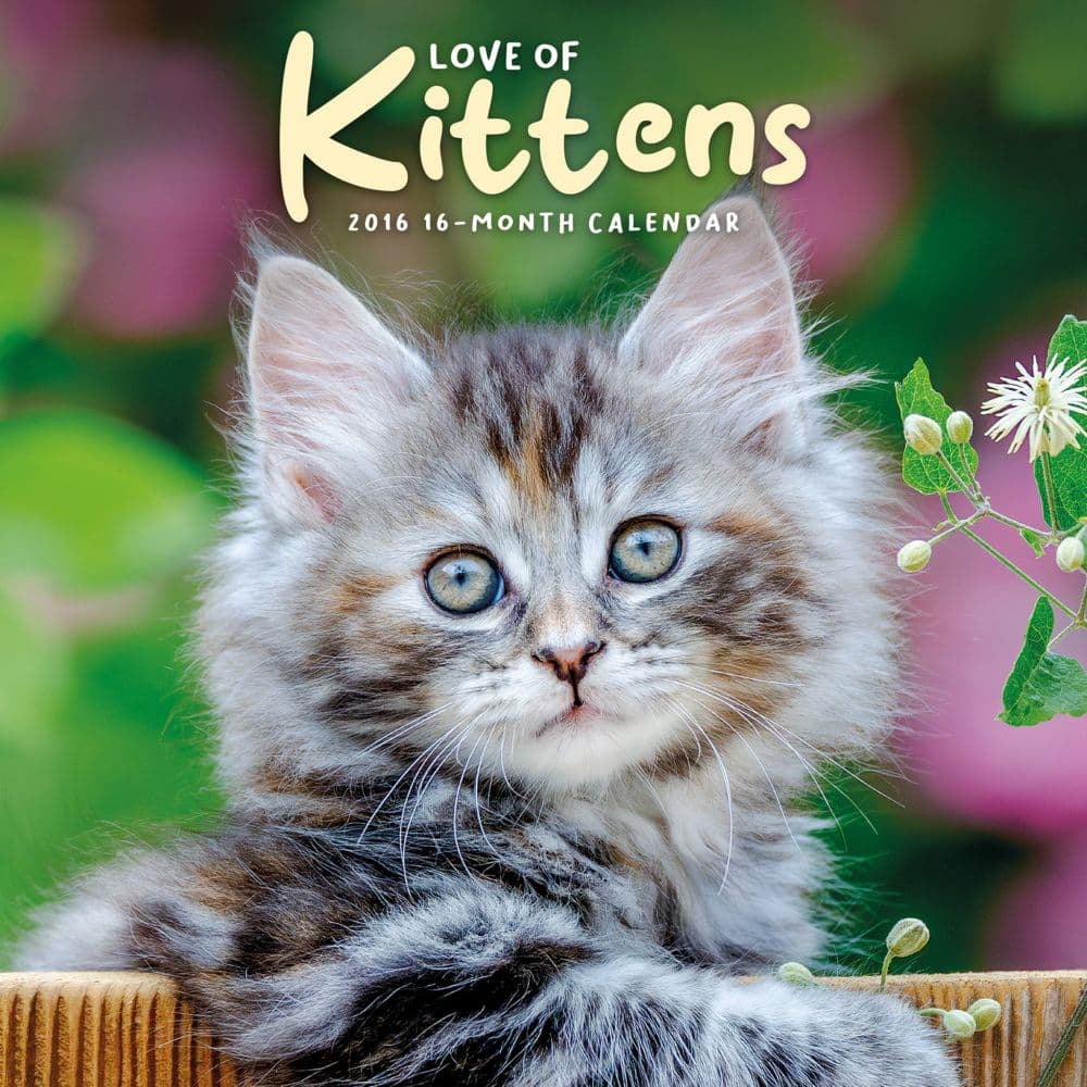 Carousel Calendars, Love of Kittens 2026 Mini Wall Calendar - Walmart.com