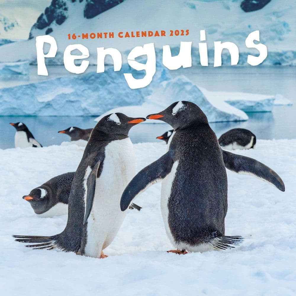 Carousel Calendars, Penguins 2025 Wall Calendar - Walmart.com