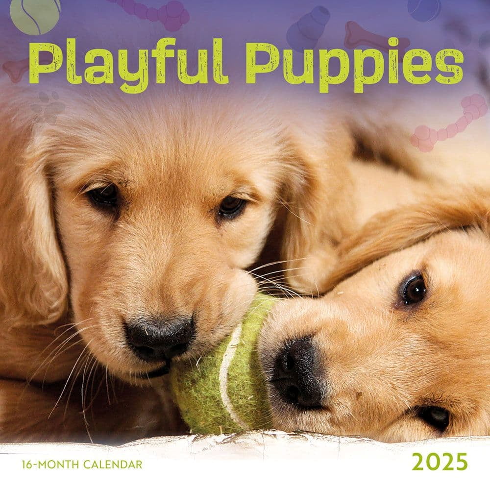 Carousel Calendars, Playful Puppies 2025 Mini Wall Calendar - Walmart.com
