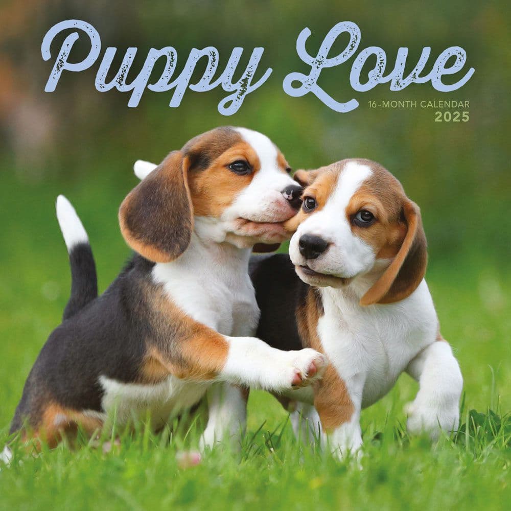 Carousel Calendars, Puppy Love 2025 Wall Calendar - Walmart.com