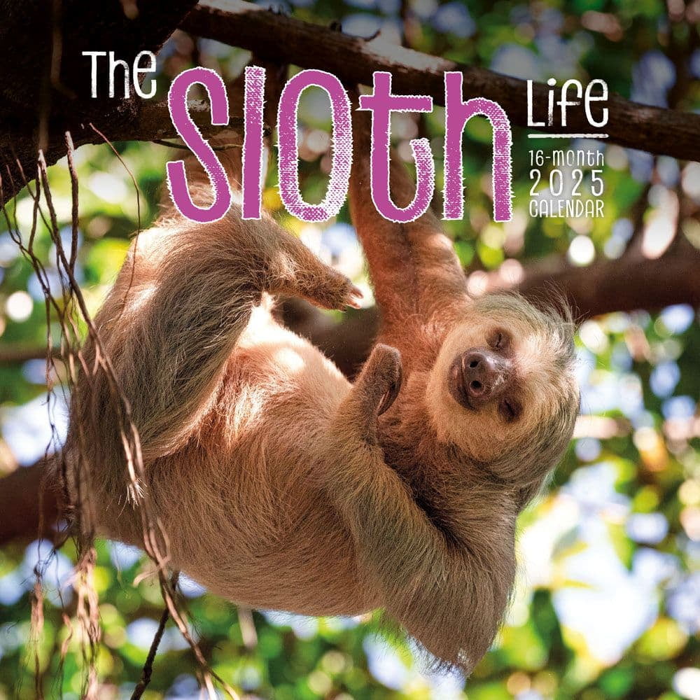 Carousel Calendars, Sloth Life 2025 Wall Calendar - Walmart.com