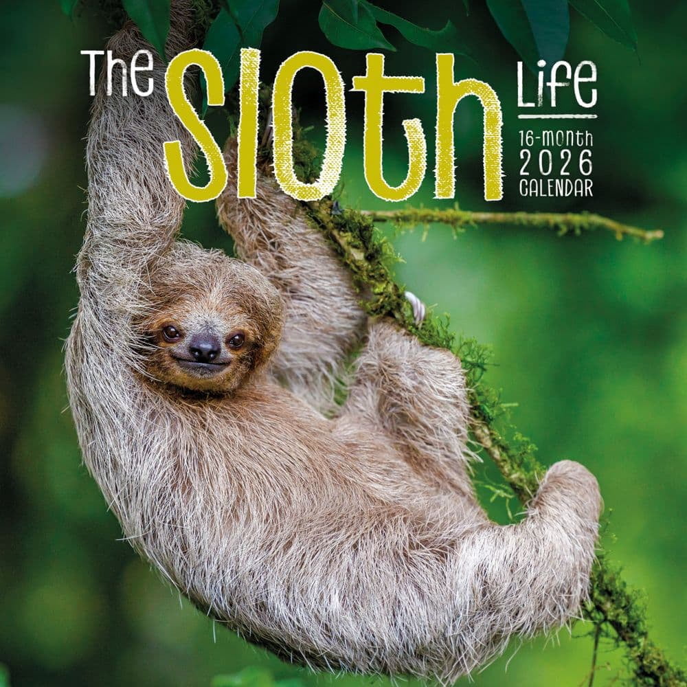 Carousel Calendars, Sloth Life 2026 Wall Calendar, 12'' X 12'', 16 ...