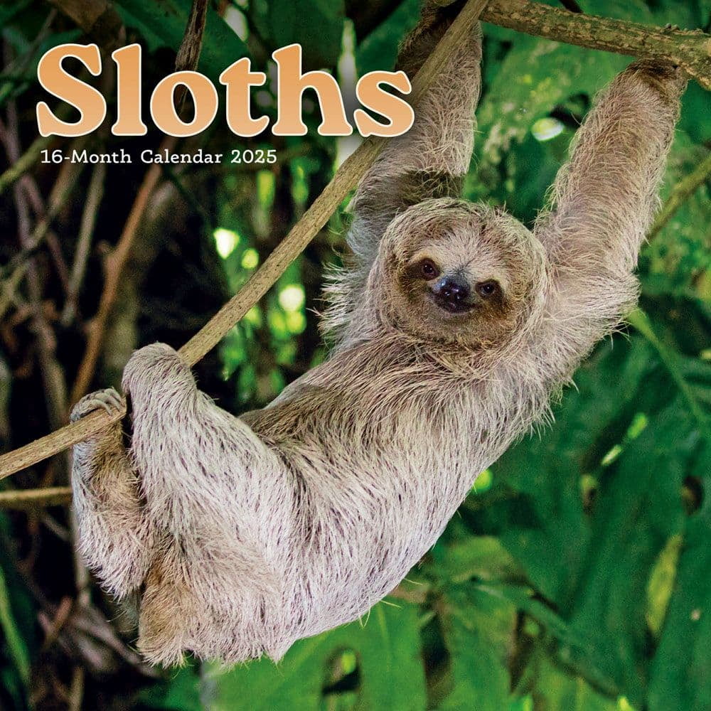 Carousel Calendars, Sloths 2025 Mini Wall Calendar - Walmart.com