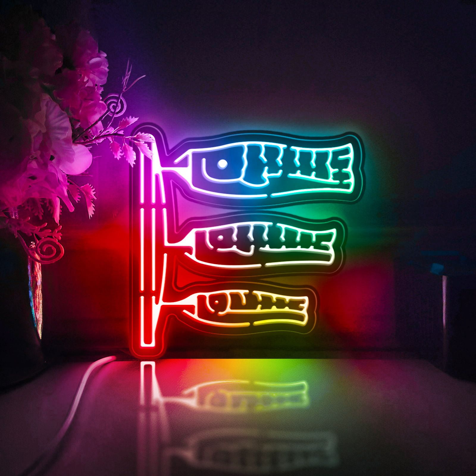 Carp Streamer Led Light Box, Dimmable Neon-Like Light Signs USB Power ...