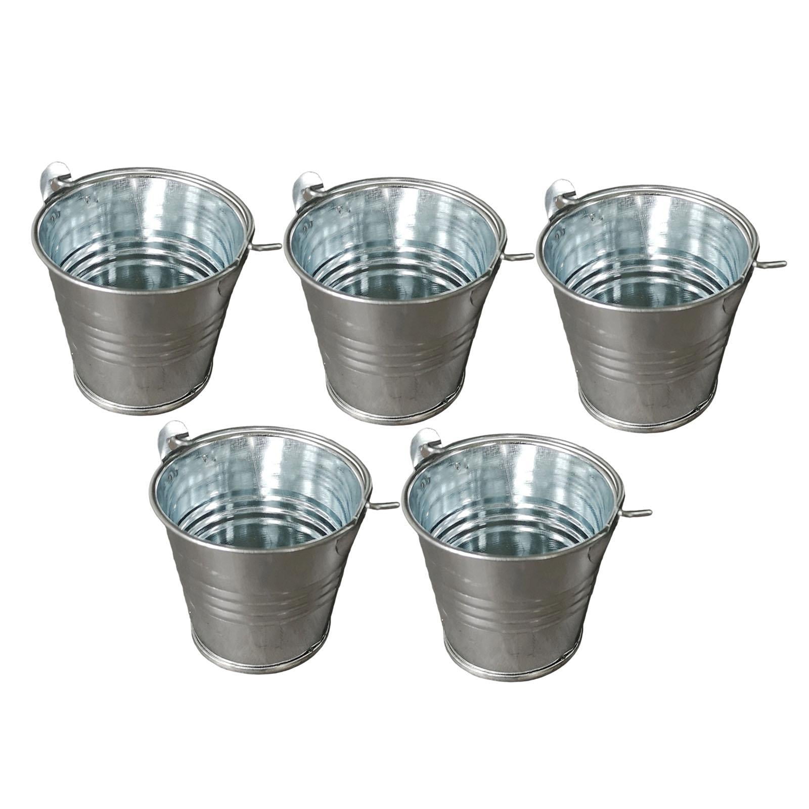 CarpNettore 5 Pieces Metal Buckets Decorative Pails Multifunctional ...