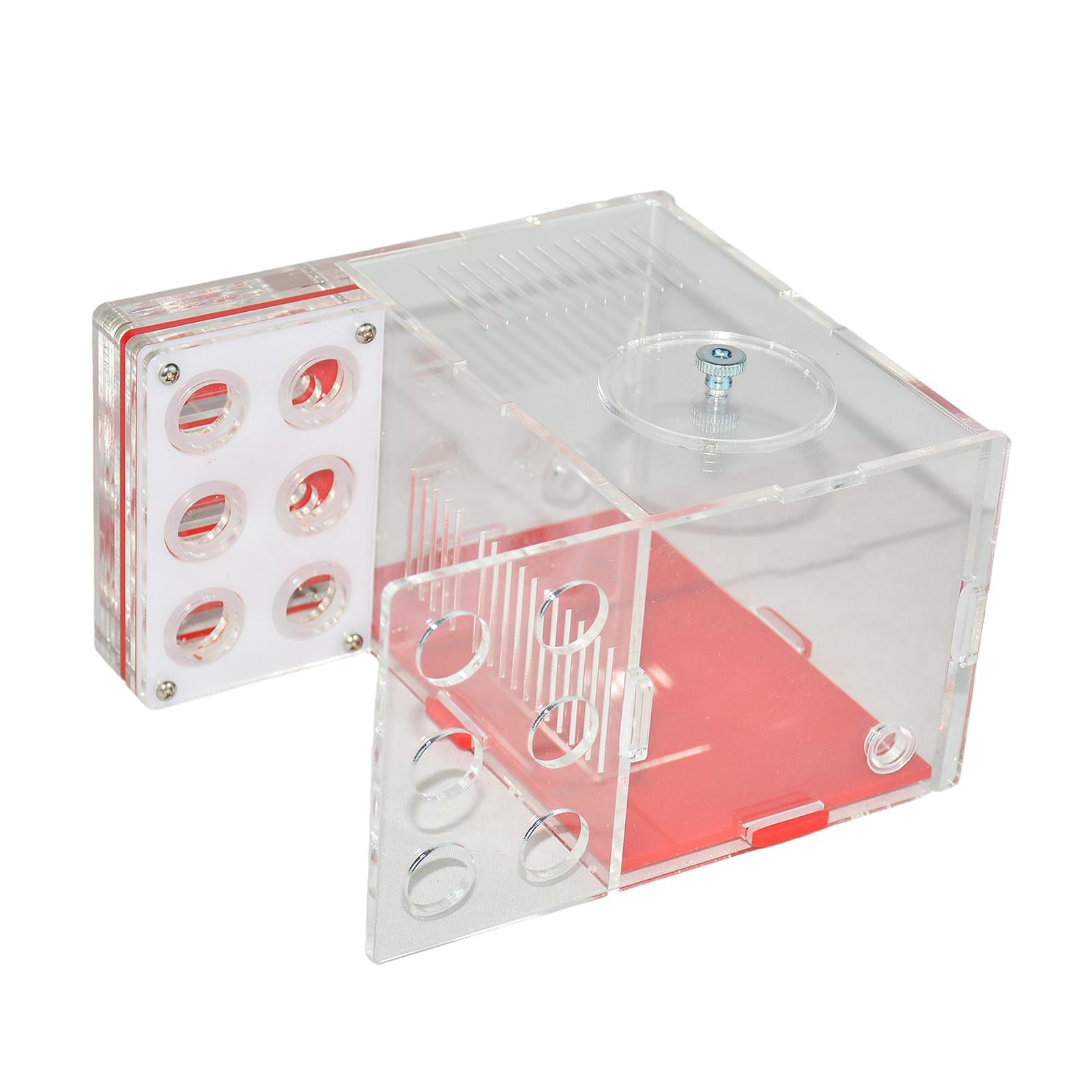 CarpNettore ANT Housing Nest Farm Castle Compact Transparent ANT Cage ...