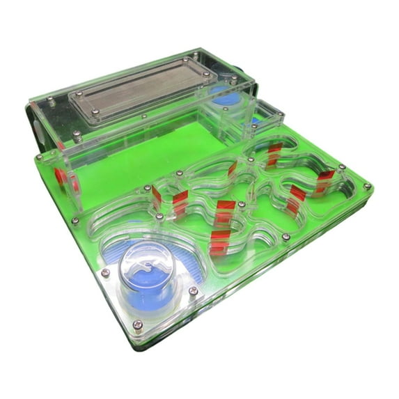 CarpNettore ANT Nest Farm ANT Factory Sturdy Castle Insect Villa House ...