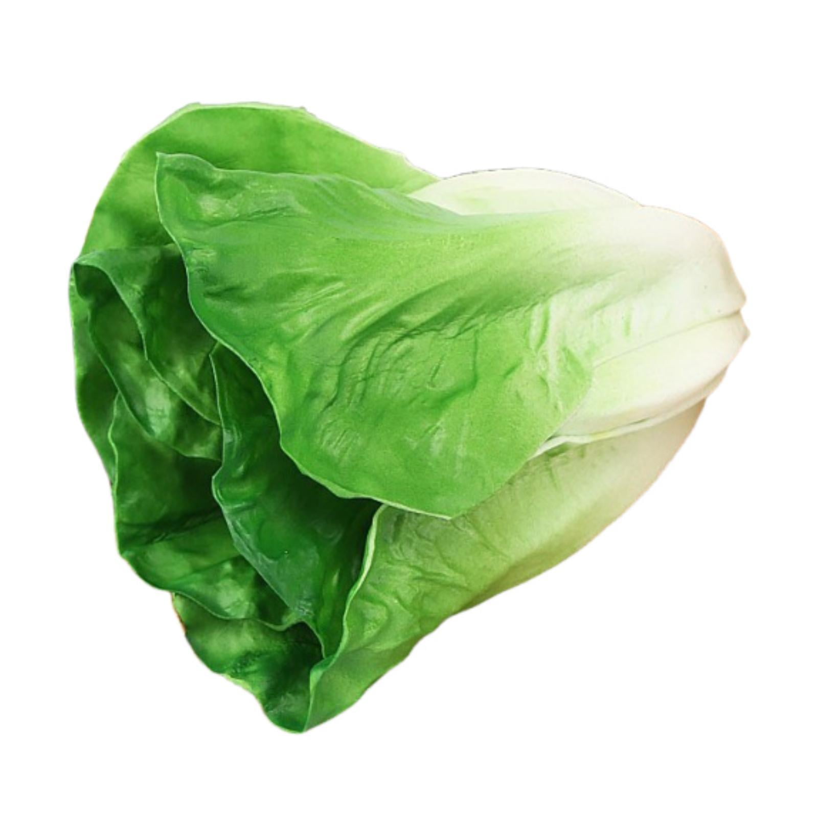 CarpNettore Artificial Vegetable Display Realistic PU Fake Veggie Model ...