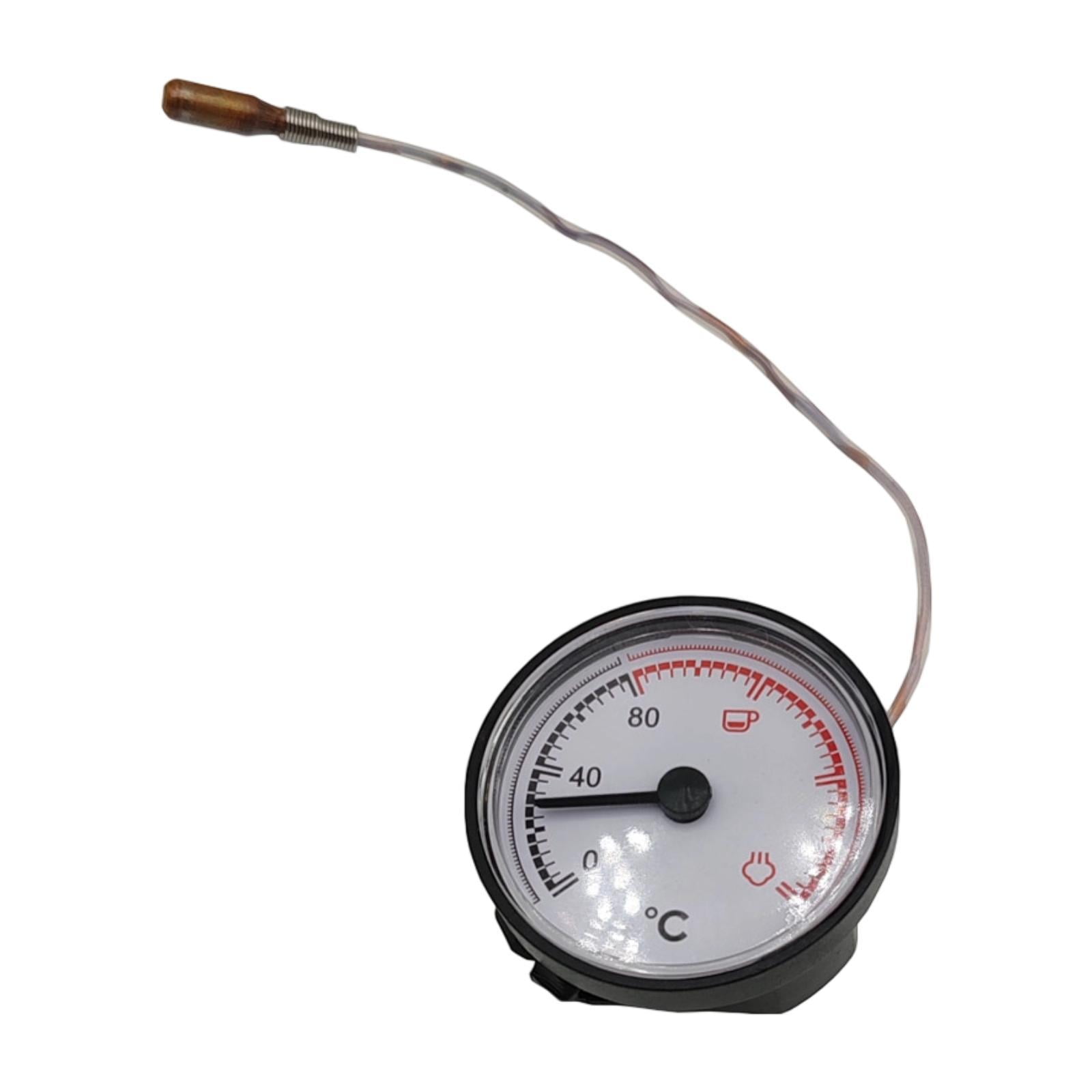 CarpNettore Dial Thermometer with Probe Laboratory Use Measurement ...