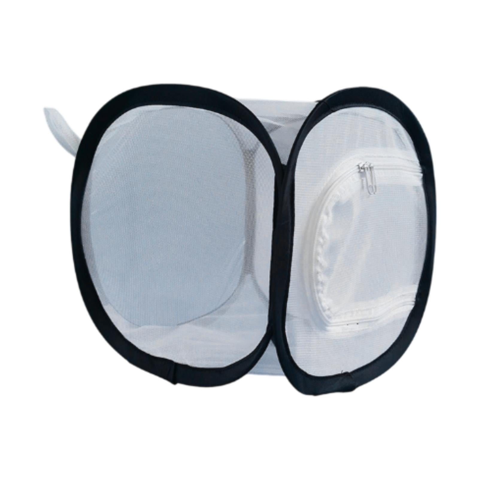 CarpNettore Insect Mesh Cage Kids Science Educational Caterpillar ...