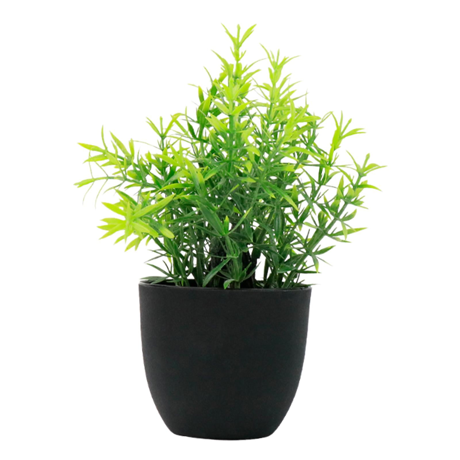 CarpNettore Mini Artificial Greenery Potted Plant Faux Plant in Pot ...