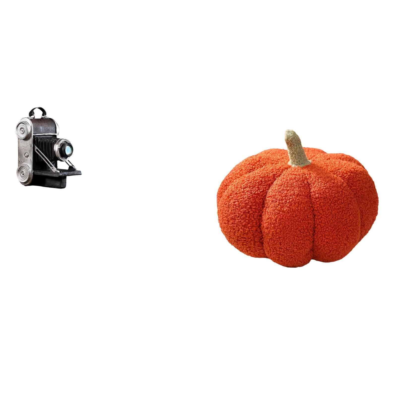 CarpNettore Resin Pumpkin Camera Plush Statue Decorative Ornament for ...