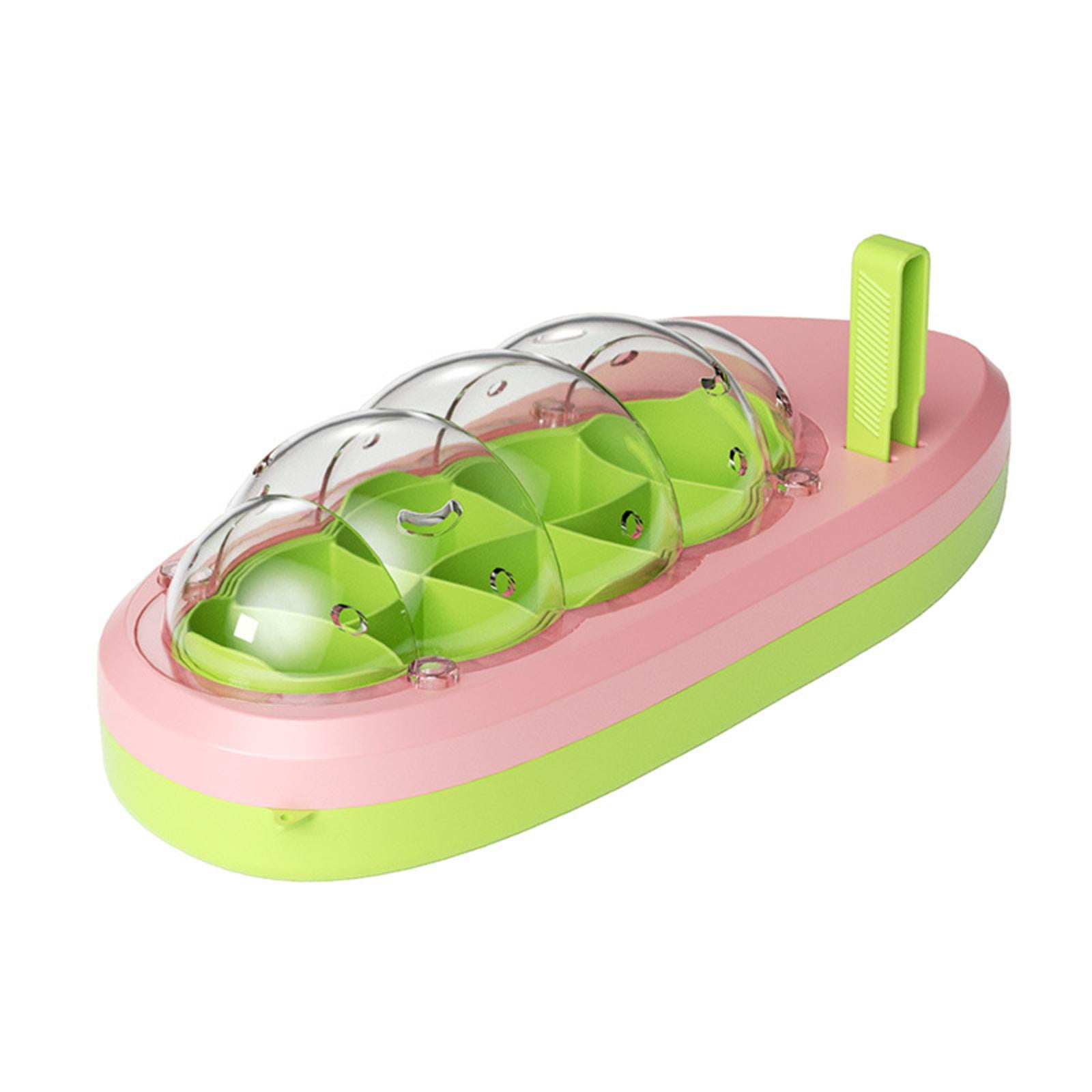 CarpNettore Silkworm Observation Box Reptile Terrarium Science ...