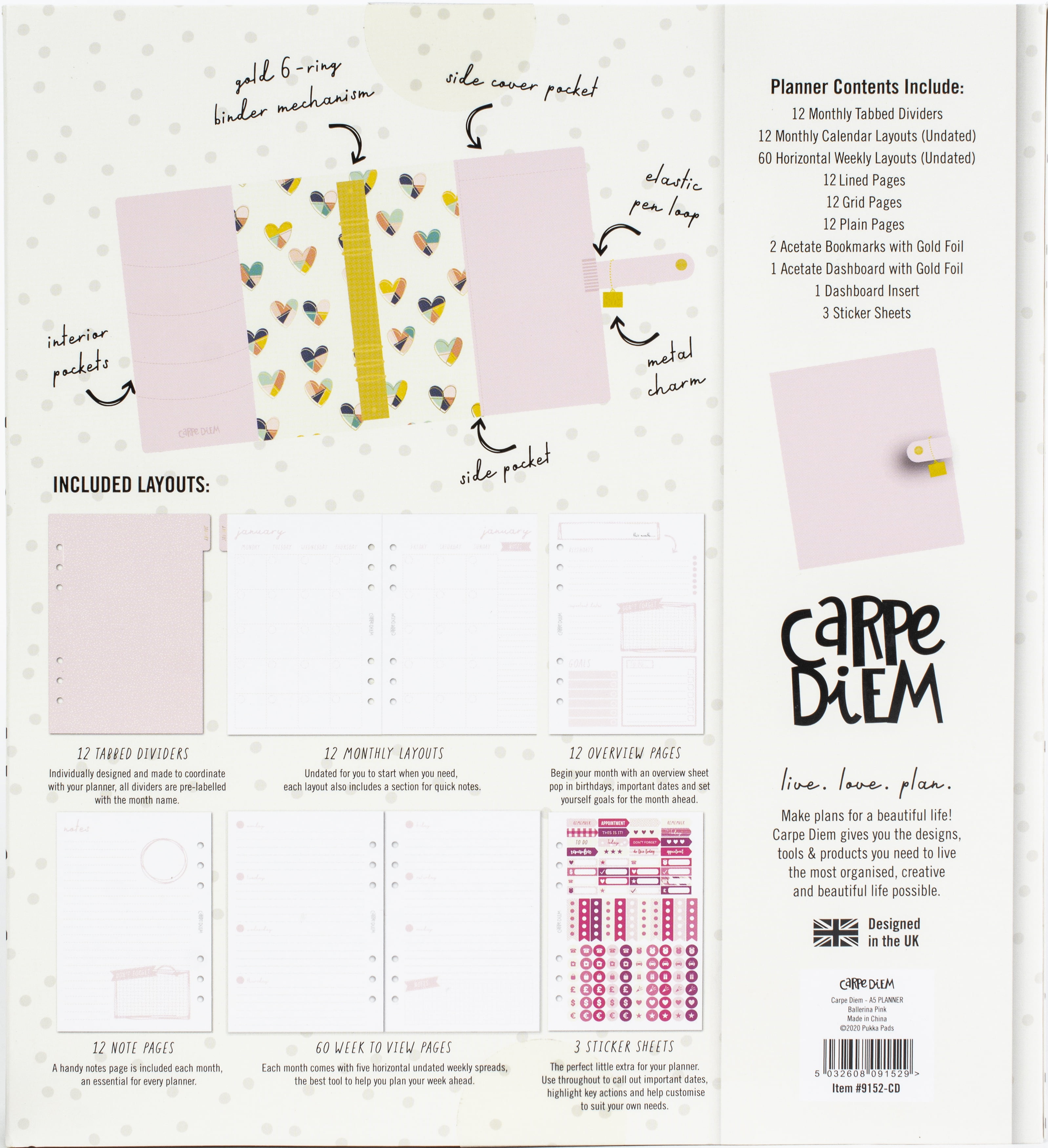 Carpe Diem A5 Planner-Ballerina Pink - Walmart.com