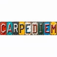 Carpe Diem License Plate Sign 16*4 Inches "CARPE DIEM" Bedroom Office ...