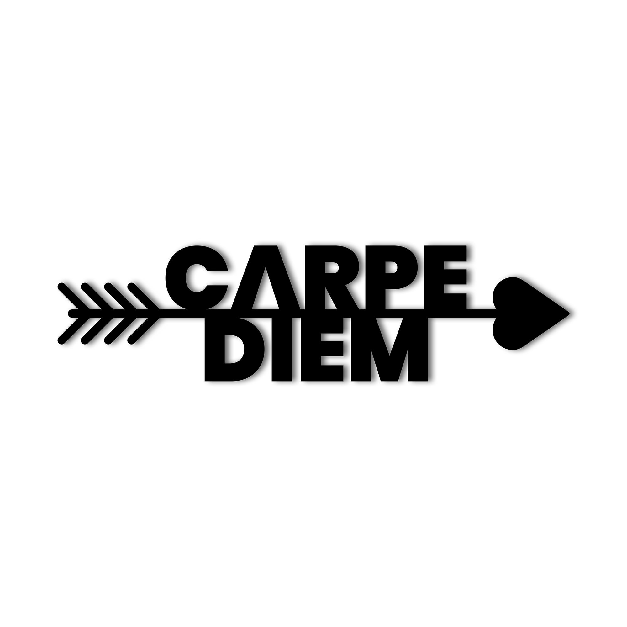 Carpe Diem Metal Wall Sign Home Decor Decorative Accent Seize the Day ...