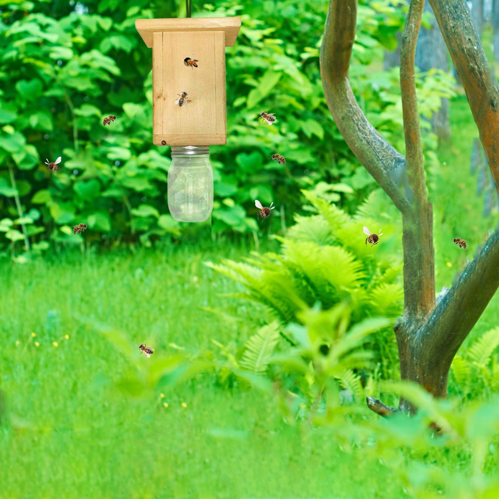 Carpenter Bee Trap for Outside - Shed Style Nature Hanging Wood Trap ...