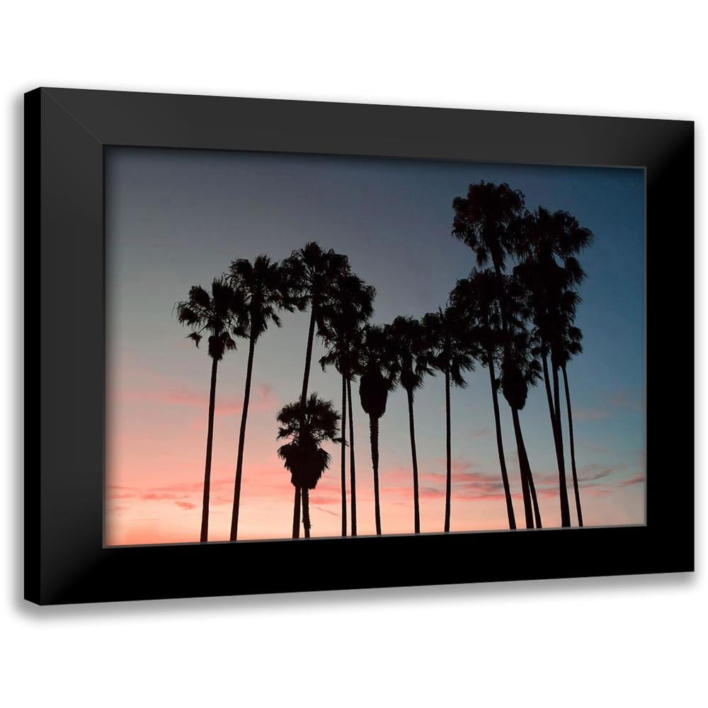 Carpentieri, Natalie 14x12 Black Modern Framed Museum Art Print Titled ...