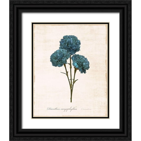 Carpentieri, Natalie 15x18 Black Ornate Wood Framed with Double Matting ...