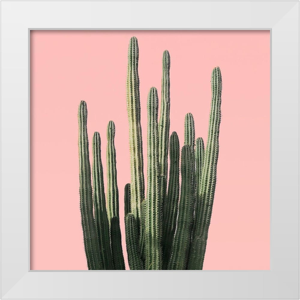 Carpentieri, Natalie 20x20 White Modern Wood Framed Museum Art Print ...