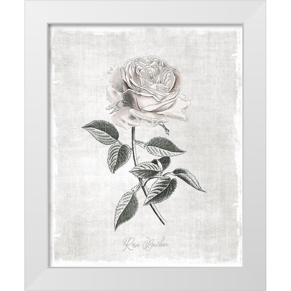 Carpentieri, Natalie 26x32 White Modern Wood Framed Museum Art Print Titled - Vintage Botanical ...