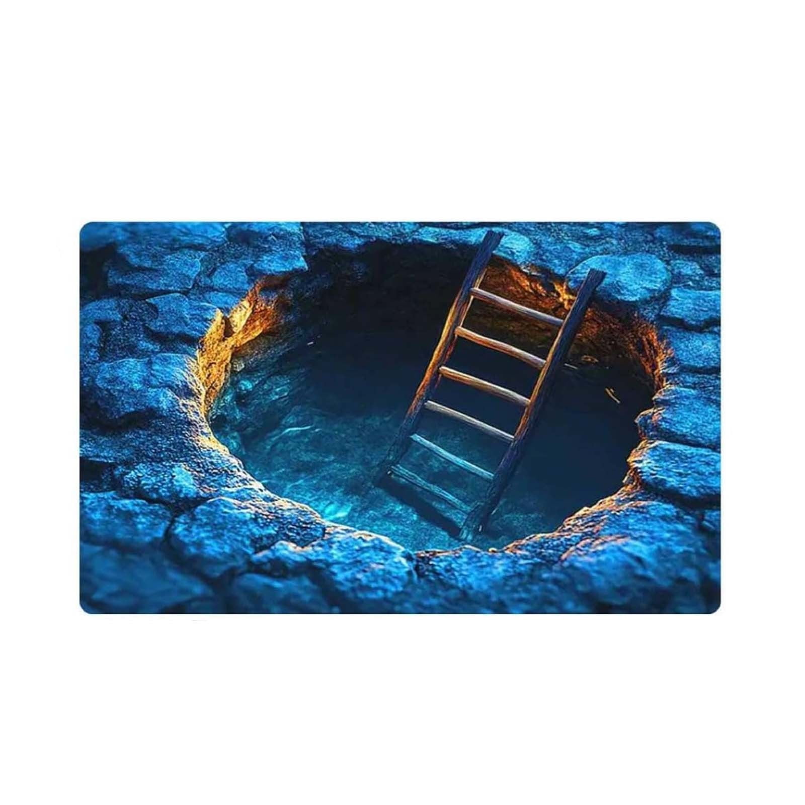 Carpet 3D Bottomless Hole Optical Illusion Rug Doormat for Indoor and Outdoor Entrance Living ...