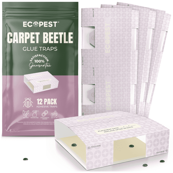 Carpet Beetle Traps – 12 Pack | Sticky Indoor Glue Boards for Carpet ...
