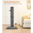 Carpet Craft Cat Heavy Duty For Indoor Large Cats And Adult Tall ...