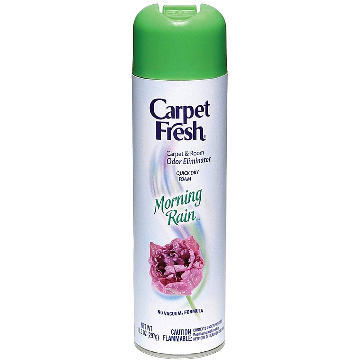 Carpet Fresh Morning Rain Scented Foam, Air Odor Freshener Eliminator ...
