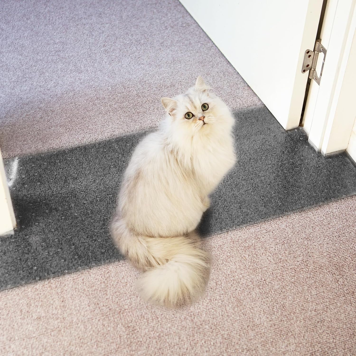 Carpet Protector for Pets Carpet Protector for Doorway, Anti Scratch ...