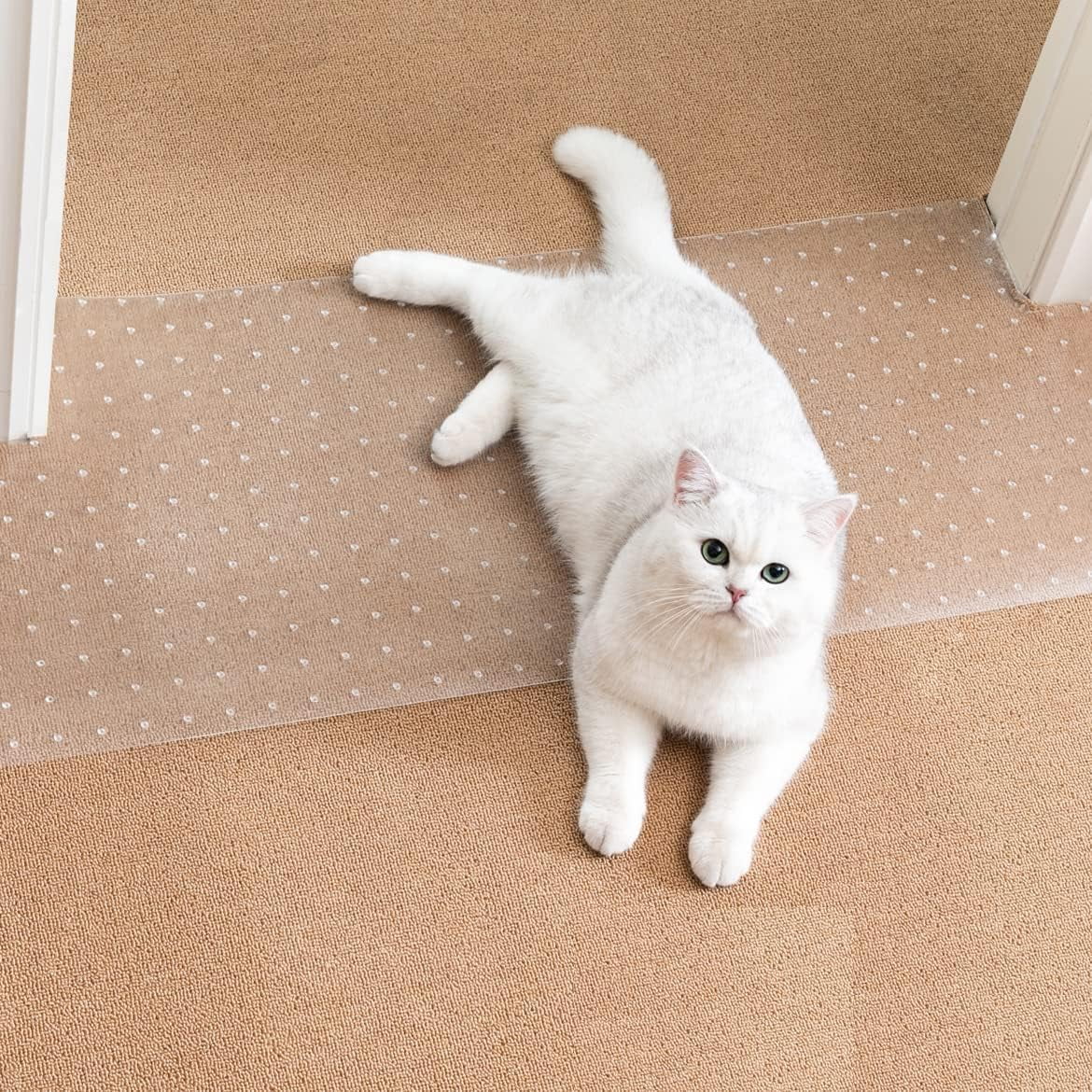 Carpet Protector for Pets - Cat Scratch Guard Mat, Anti Scratch Under ...