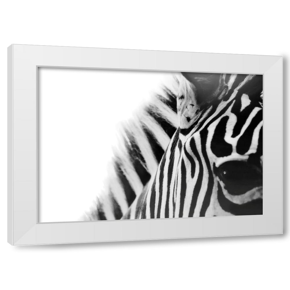 Carrie Ann Grippo-Pike 4x14 White Modern Wood Framed Wall Art Titled ...