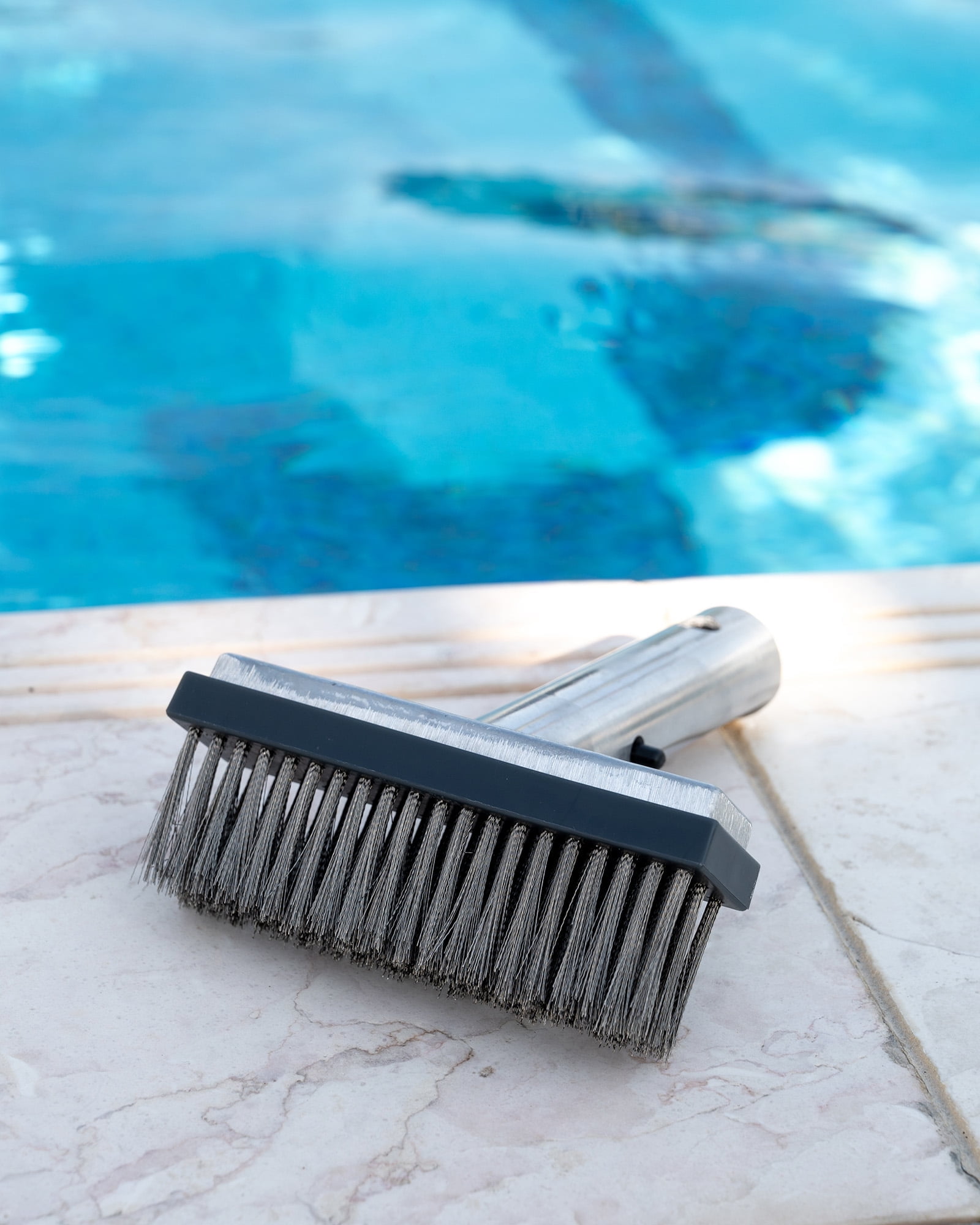 Carrie Box Stainless Steel Algae Swimming Pool Brush | HD Aluminum Pole ...