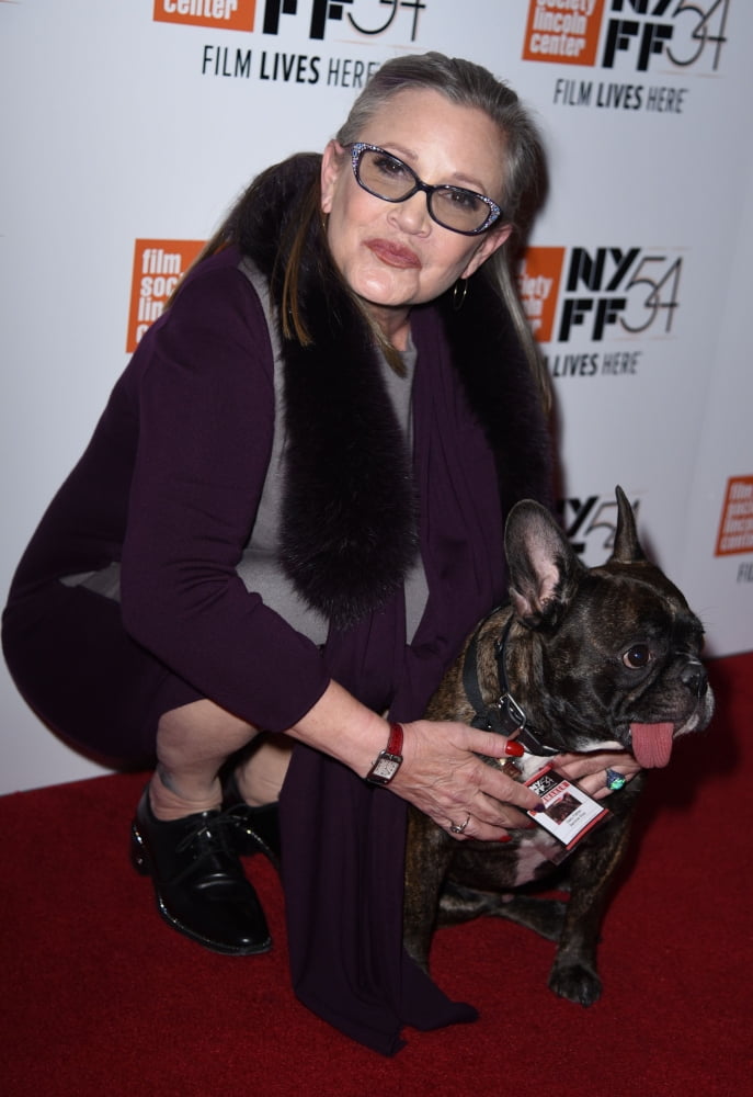 Carrie Fisher Gary Fisher At Arrivals For Bright Lights Starring Carrie ...
