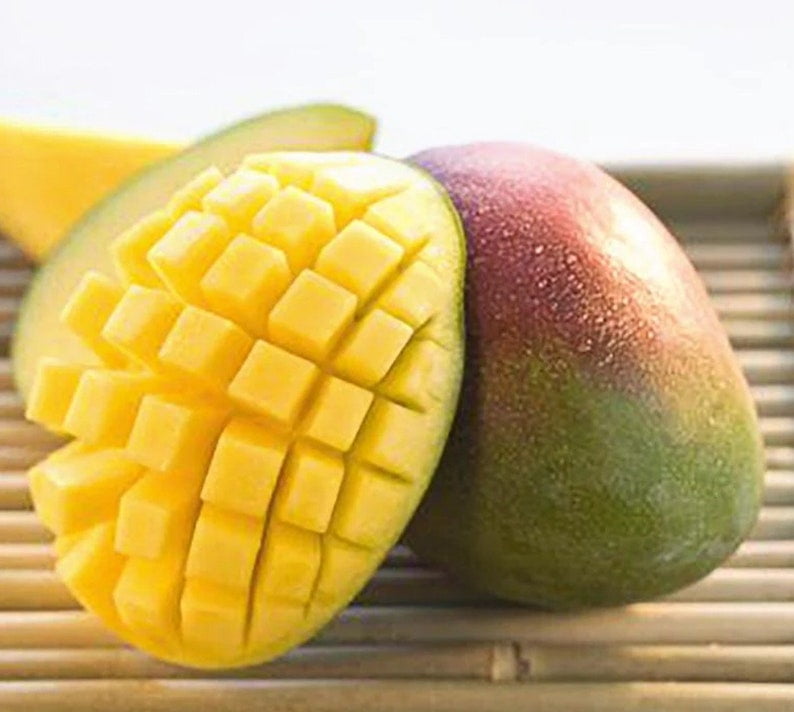 Carrie Semi Dwarf MANGO TREE GRAFTED (2-4 Feet Tall). SHIP TO ALL ...