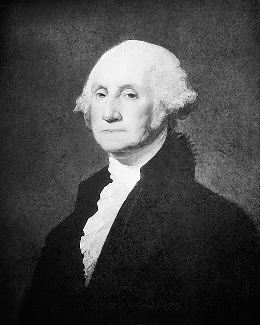Carroll Portrait of President George Washington - Style A - 24x36 Inch ...