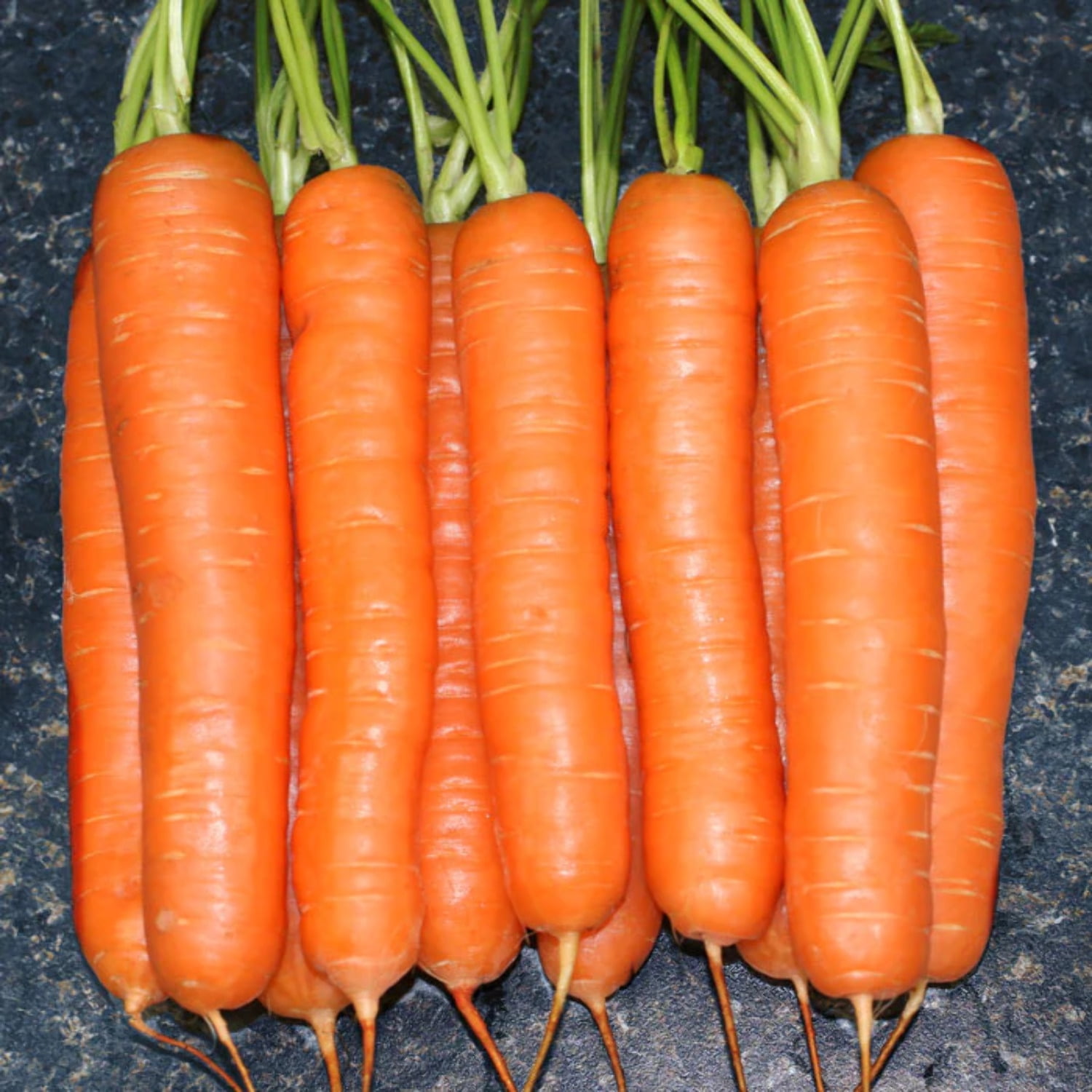 Carrot Seeds - Yaya Organic Variety Carrot Seeds - Non-GMO - 250 Seeds ...
