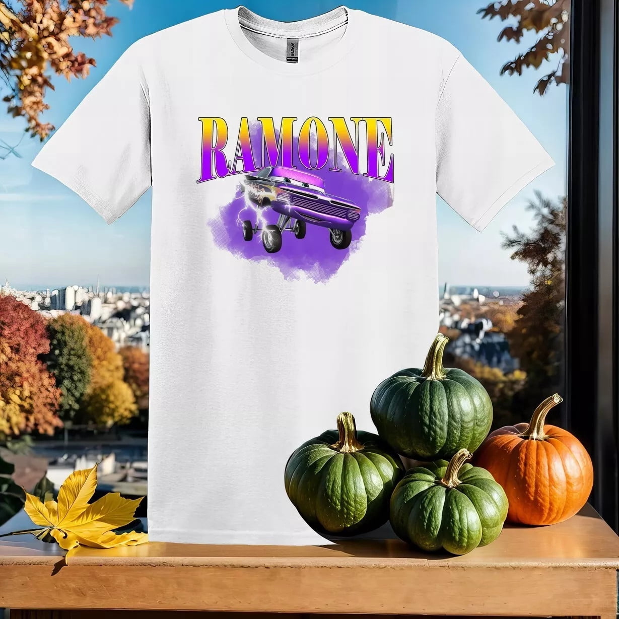 Cars Ramone Vintage Hydraulic Lowrider Custom Paint Garage Body Shop T ...