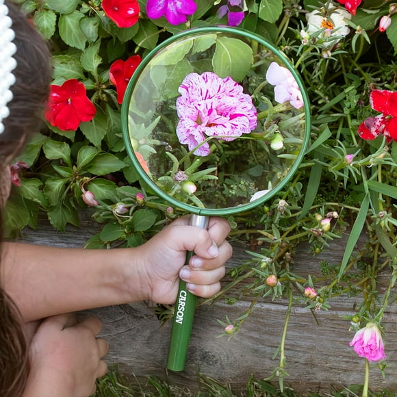 Extra Large Magnifying Glass