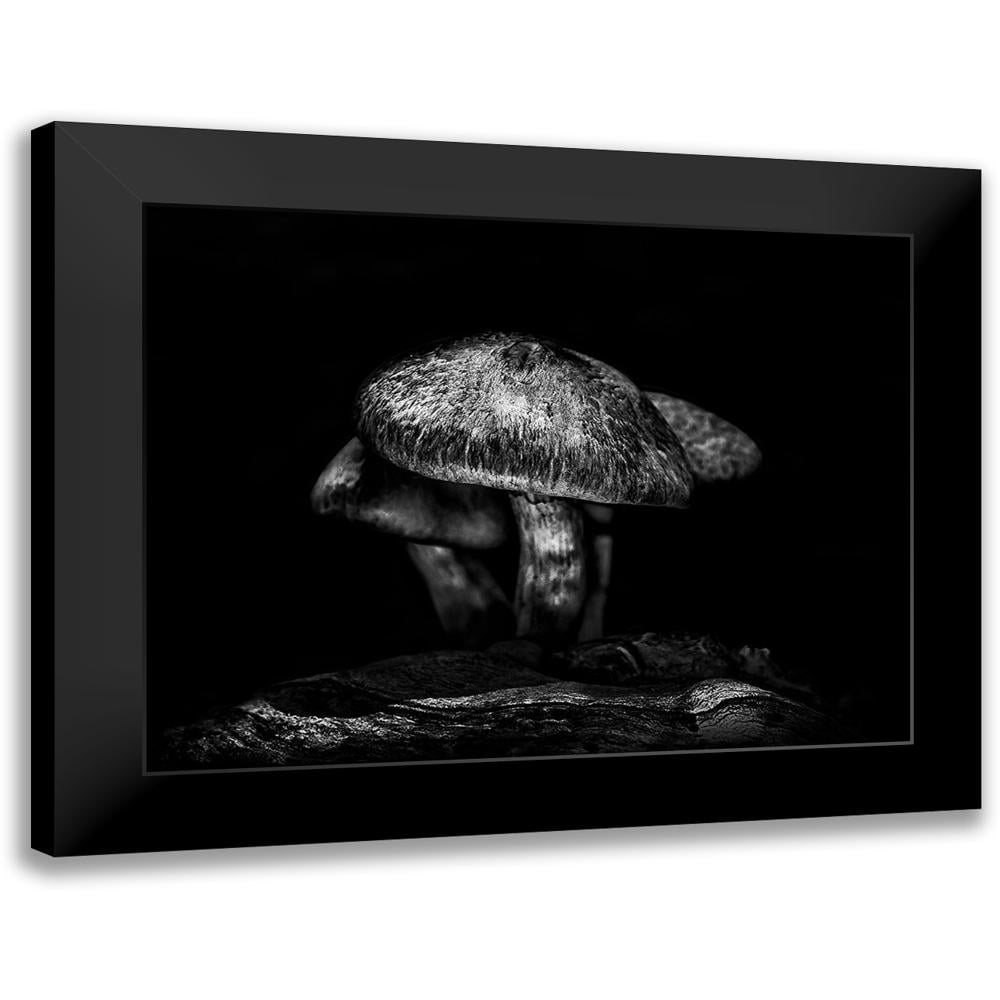 Carson, Brian 14x12 Black Modern Framed Museum Art Print Titled ...