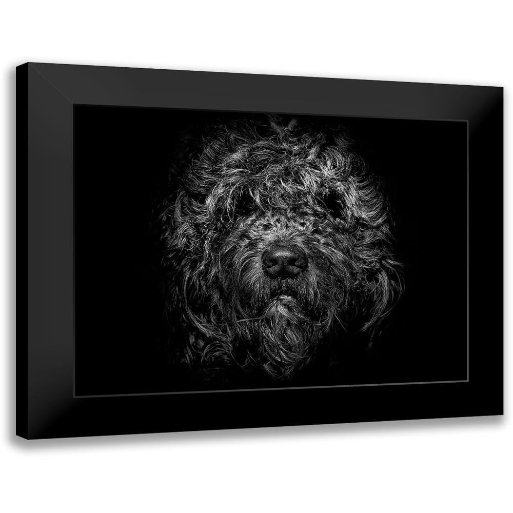 Carson, Brian 14x12 Black Modern Framed Museum Art Print Titled - Ziggy ...