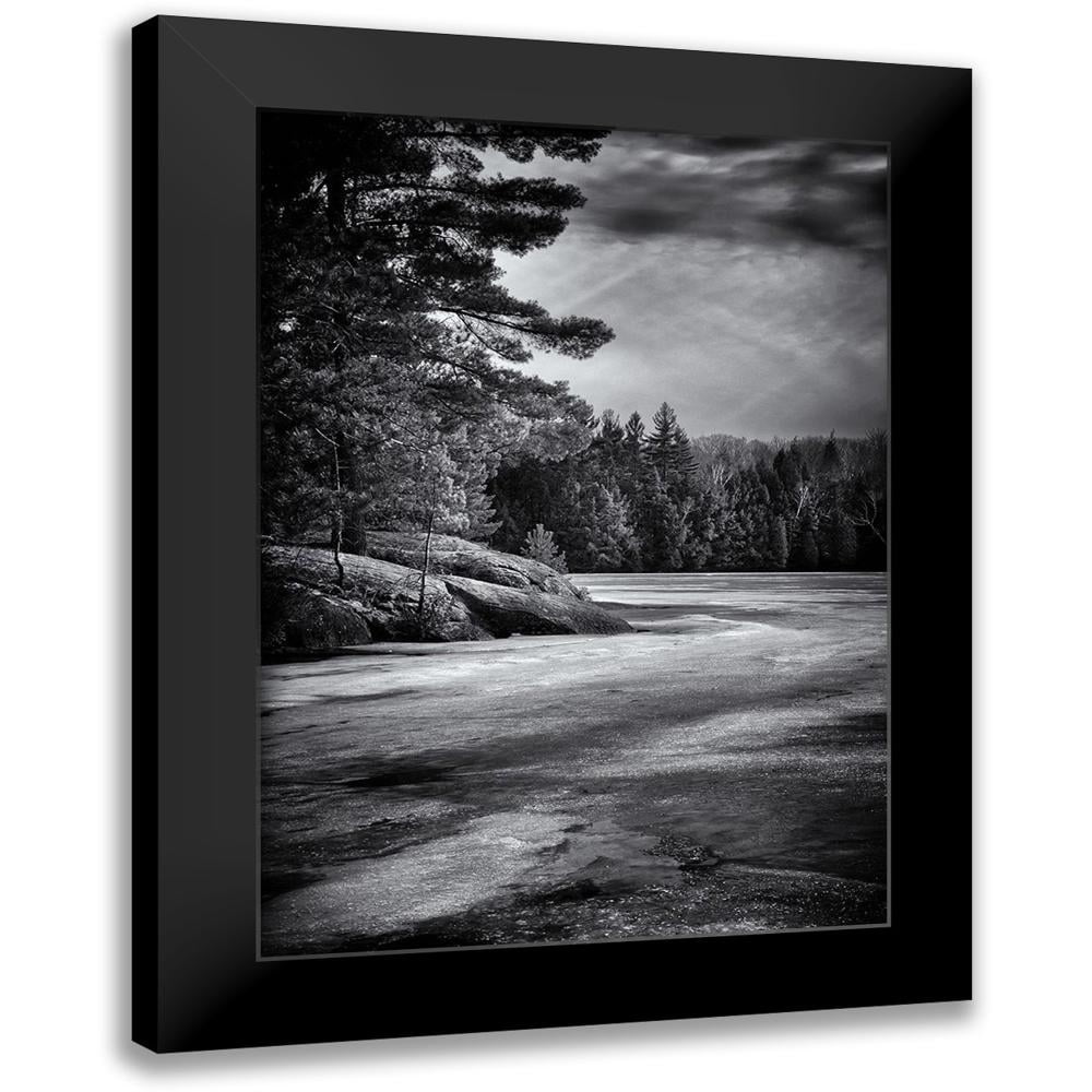 Carson, Brian 14x18 Black Modern Framed Museum Art Print Titled - Gull ...