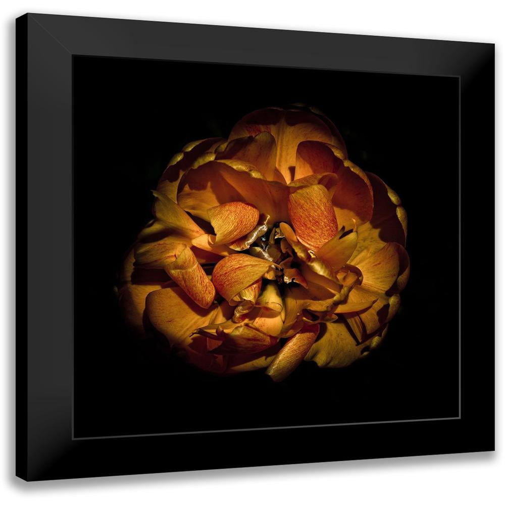 Carson, Brian 15x15 Black Modern Framed Museum Art Print Titled ...